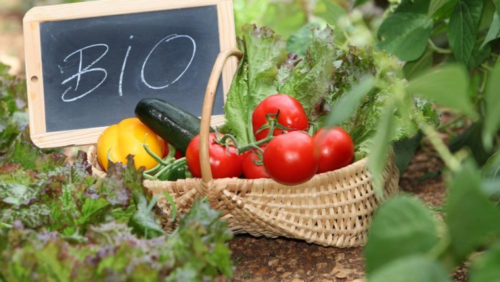 „Bio” kann die ganze Welt ernähren - Chronik | stol.it