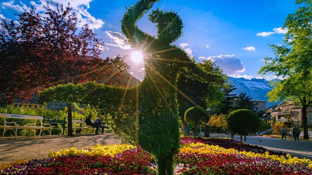 Im Zeichen der Blumen: Meran von seiner schönsten Seite