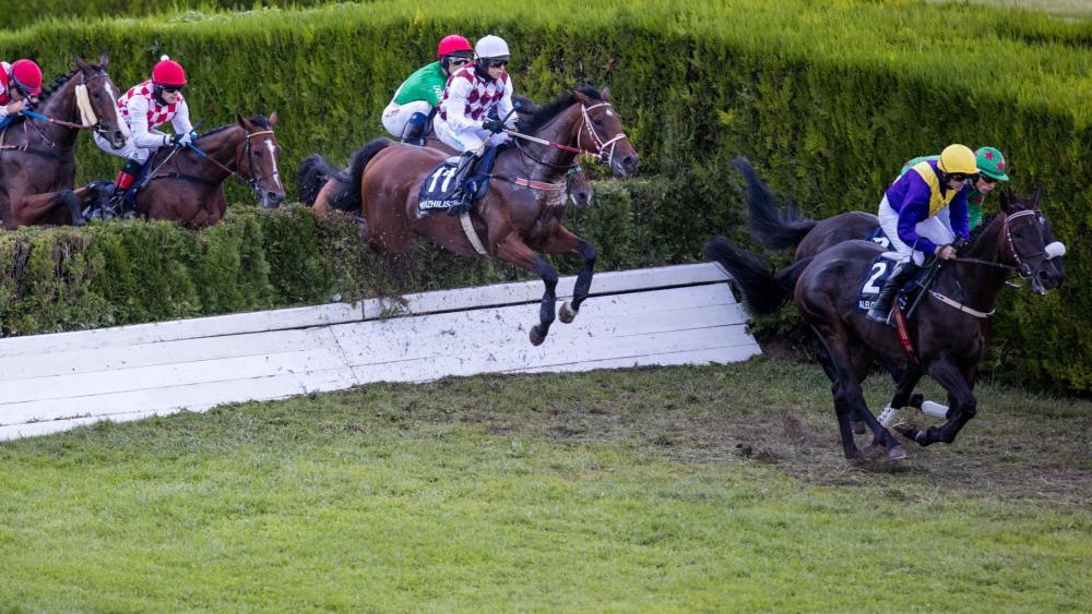 Pferderennbetrieb in Meran vor Publikum möglich