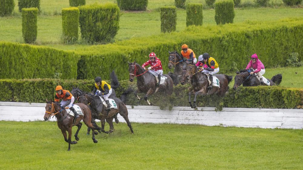 Landesrat Schuler: „Pferderennplatz Meran unterstützen“