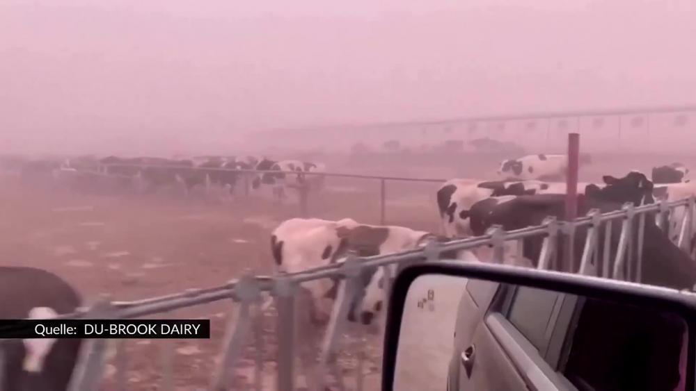 Heftiger Sandsturm in Arizona