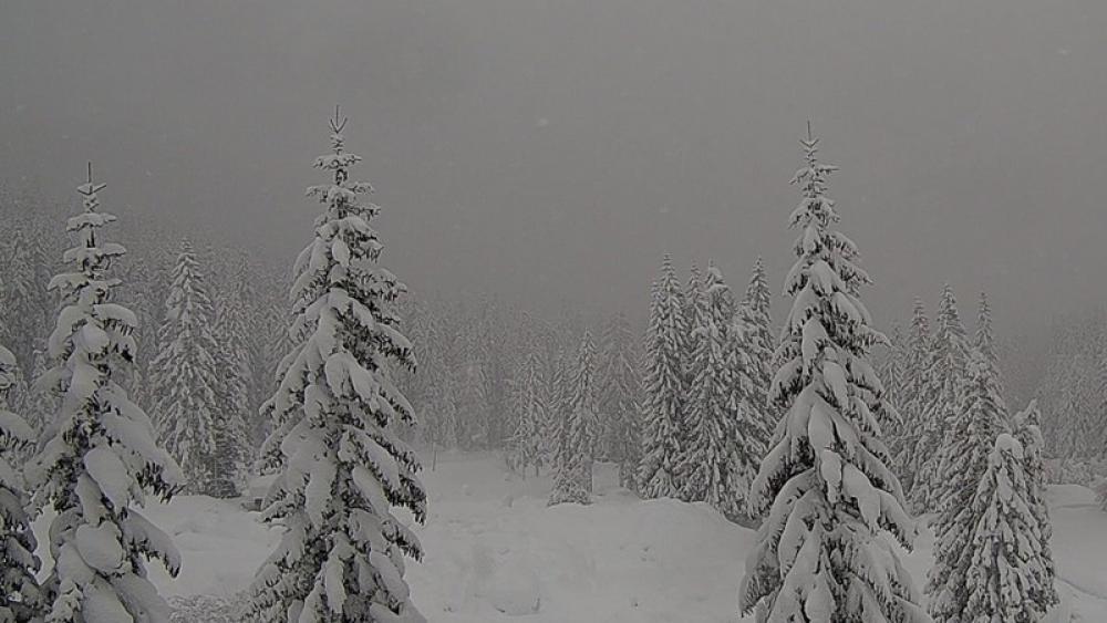 Schneefall in vielen Teilen Südtirols - Chronik | stol.it Schneefall in vielen Teilen Südtirols - Chronik | stol.it