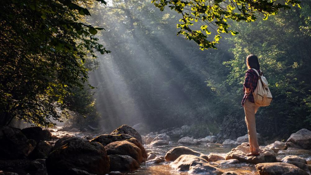 So gesund ist die Zeit in der Natur