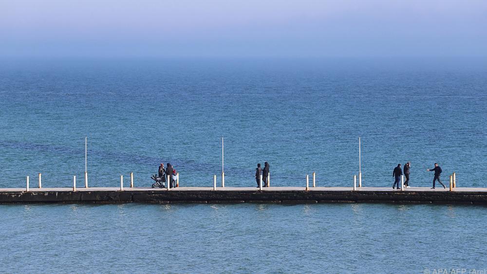 Delfine verenden im Schwarzen Meer wegen Ukraine-Kriegs Delfine verenden im Schwarzen Meer wegen Ukraine-Kriegs