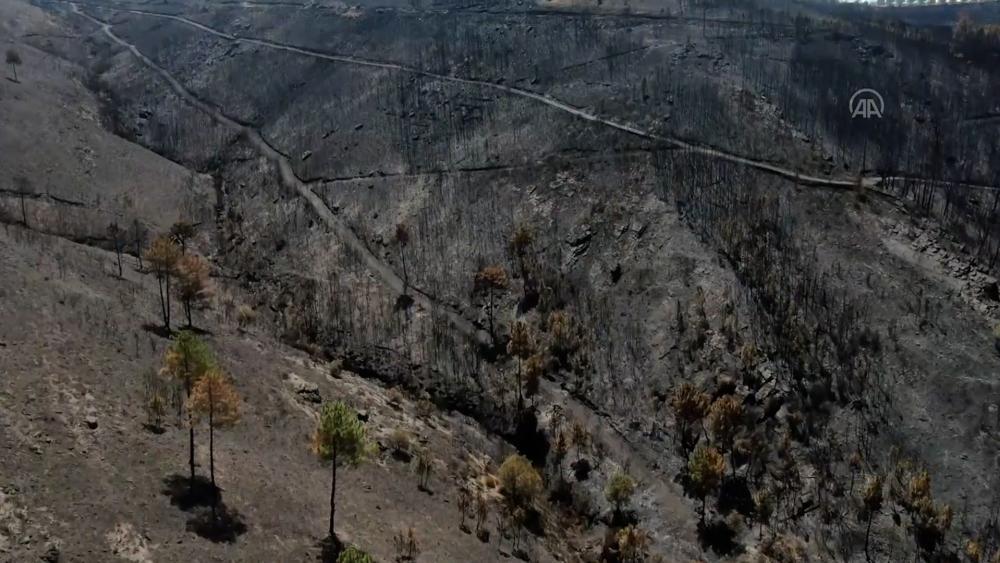Drohnenaufnahmen zeigen Zerstörung nach Waldbrand - Videos | stol.it Drohnenaufnahmen zeigen Zerstörung nach Waldbrand - Videos | stol.it