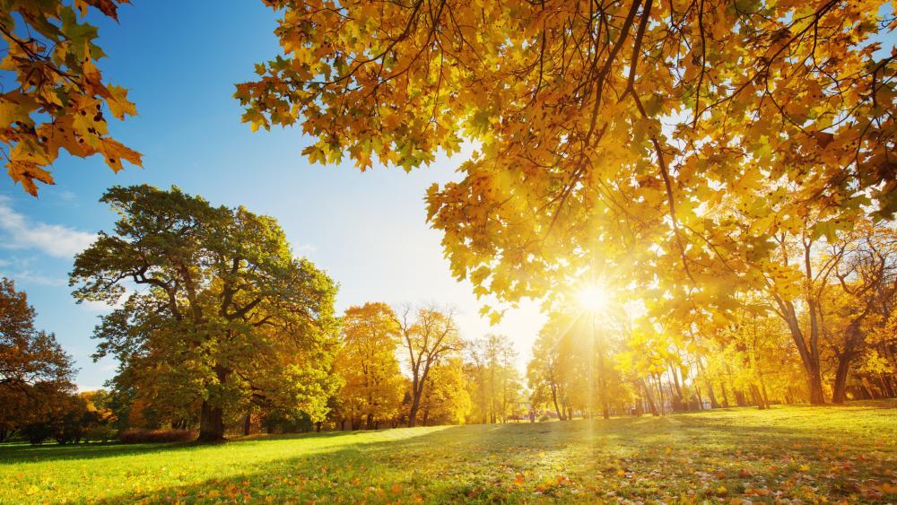 Durchschnittlicher September: So wird das Wetter in den kommenden Tagen