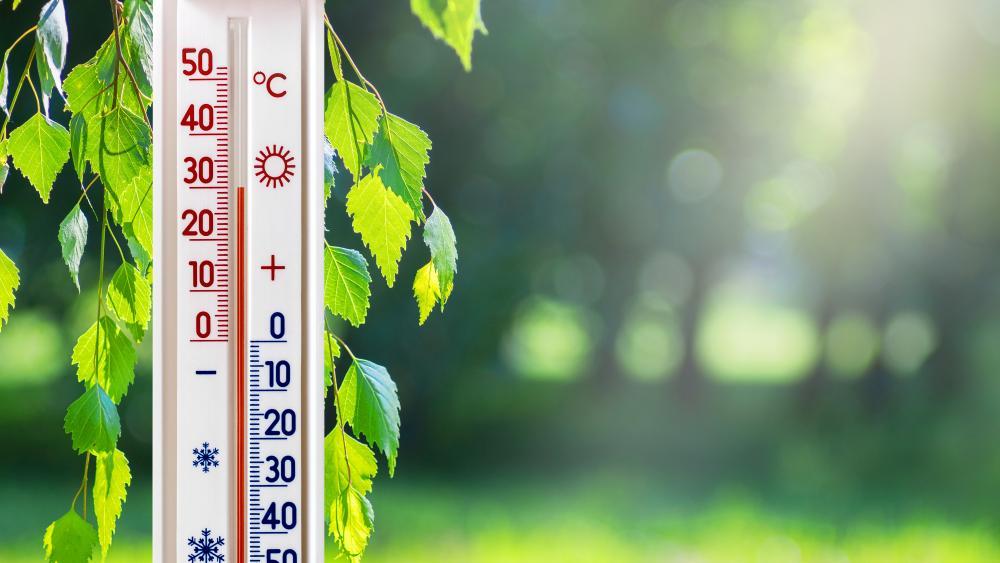 30-Grad-Marke erstmals in diesem Jahr geknackt