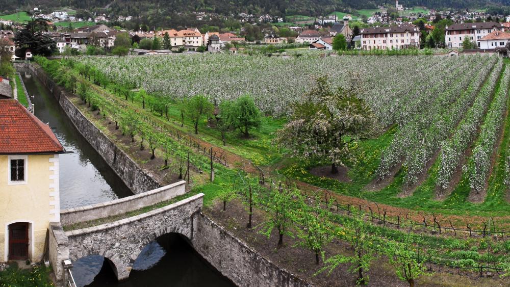 Hofburggarten Brixen: Wie es jetzt weiter geht