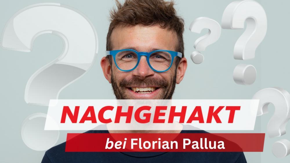 Florian Pallua: „Der Hund hat meine Hausaufgaben gefressen“ - Panorama ...