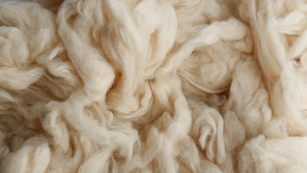 Wollige Wärme: Was es mit dem Naturmaterial Wolle auf sich hat ...