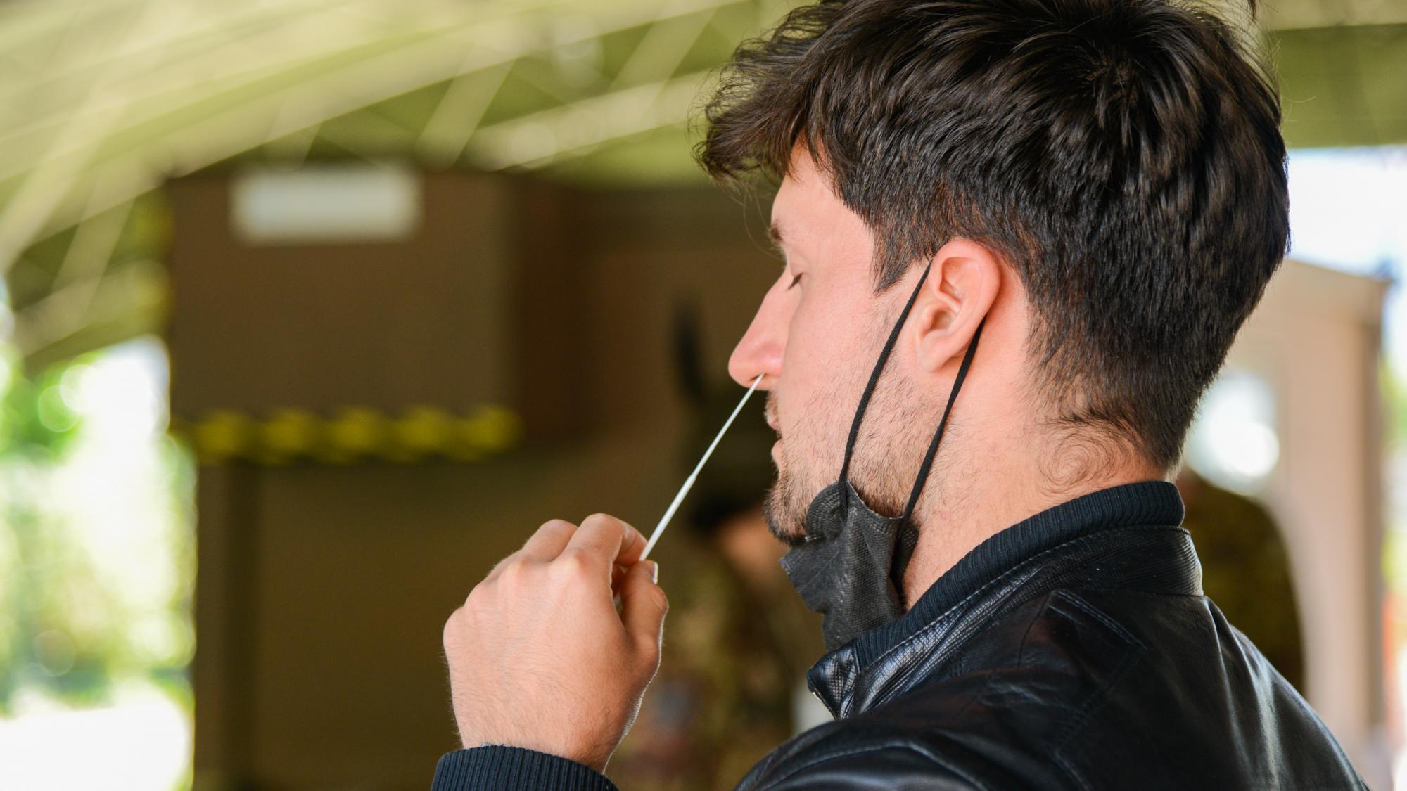 Ab 1. Juli: So werden die Nasenflügeltests weiterverwendet - Chronik ...