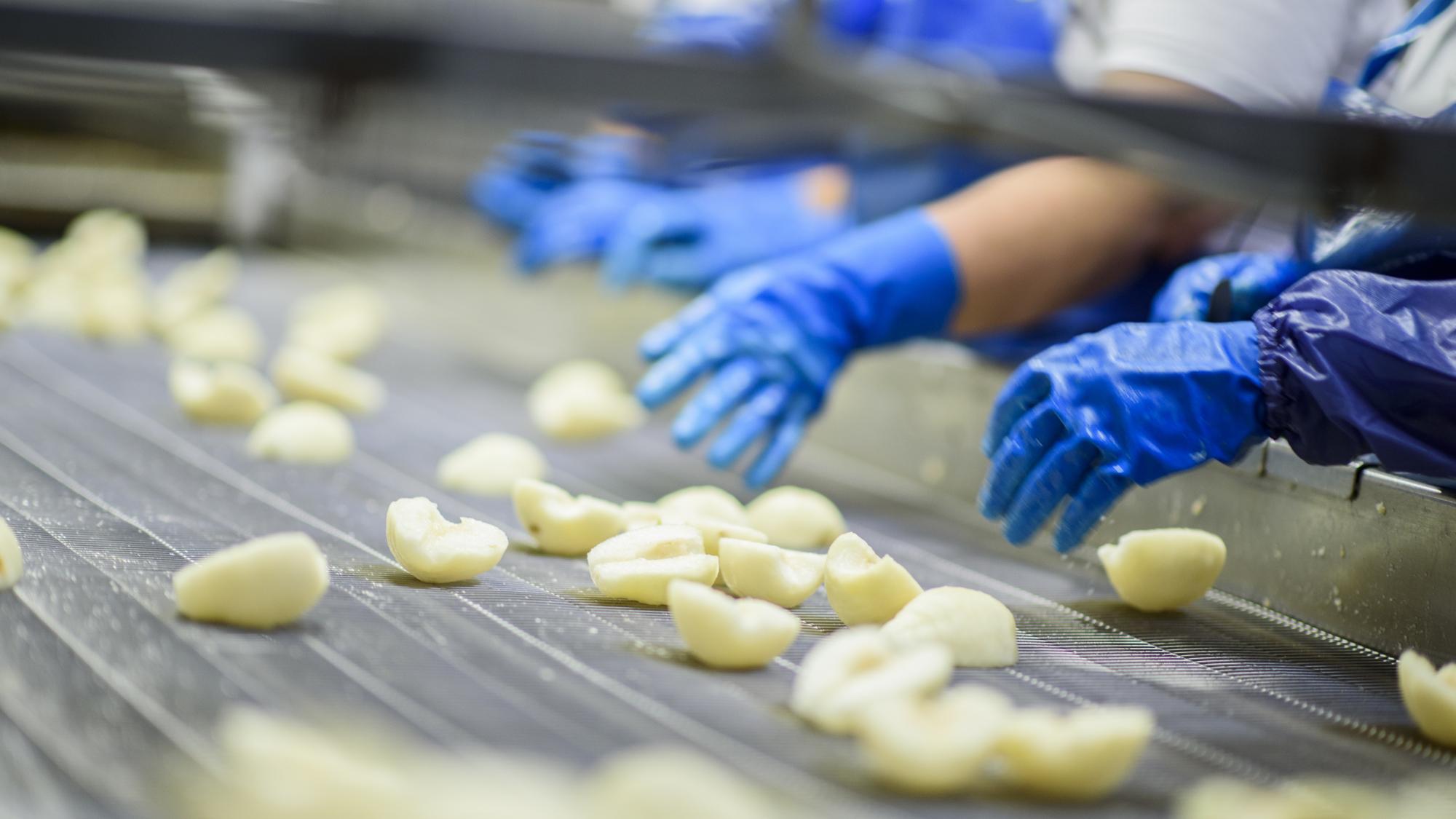 Fructus Meran: Rekordumsatz zum Jubiläum - Wirtschaft | stol.it