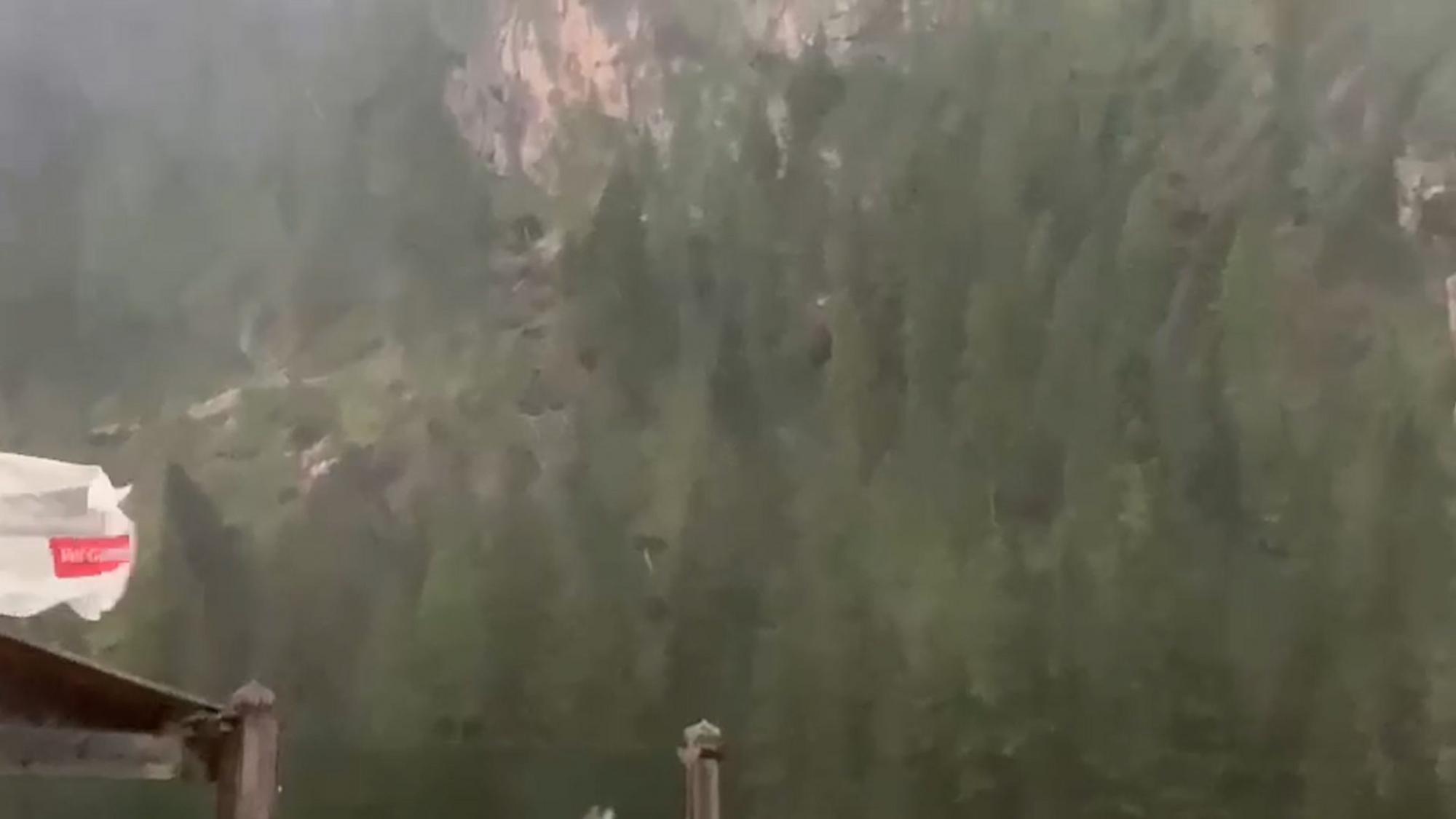 Wolkenstein: Sturm reißt Wald um - Videos | stol.it