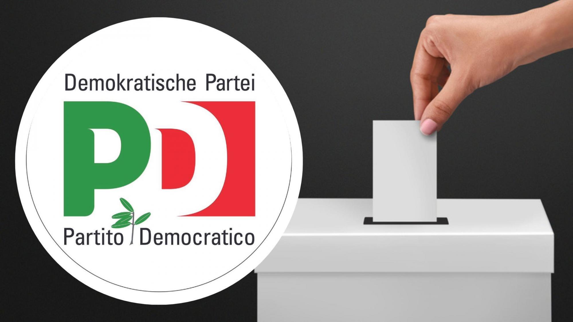 Demokratische Partei verliert, aber sichert sich ein Mandat - Politik ...