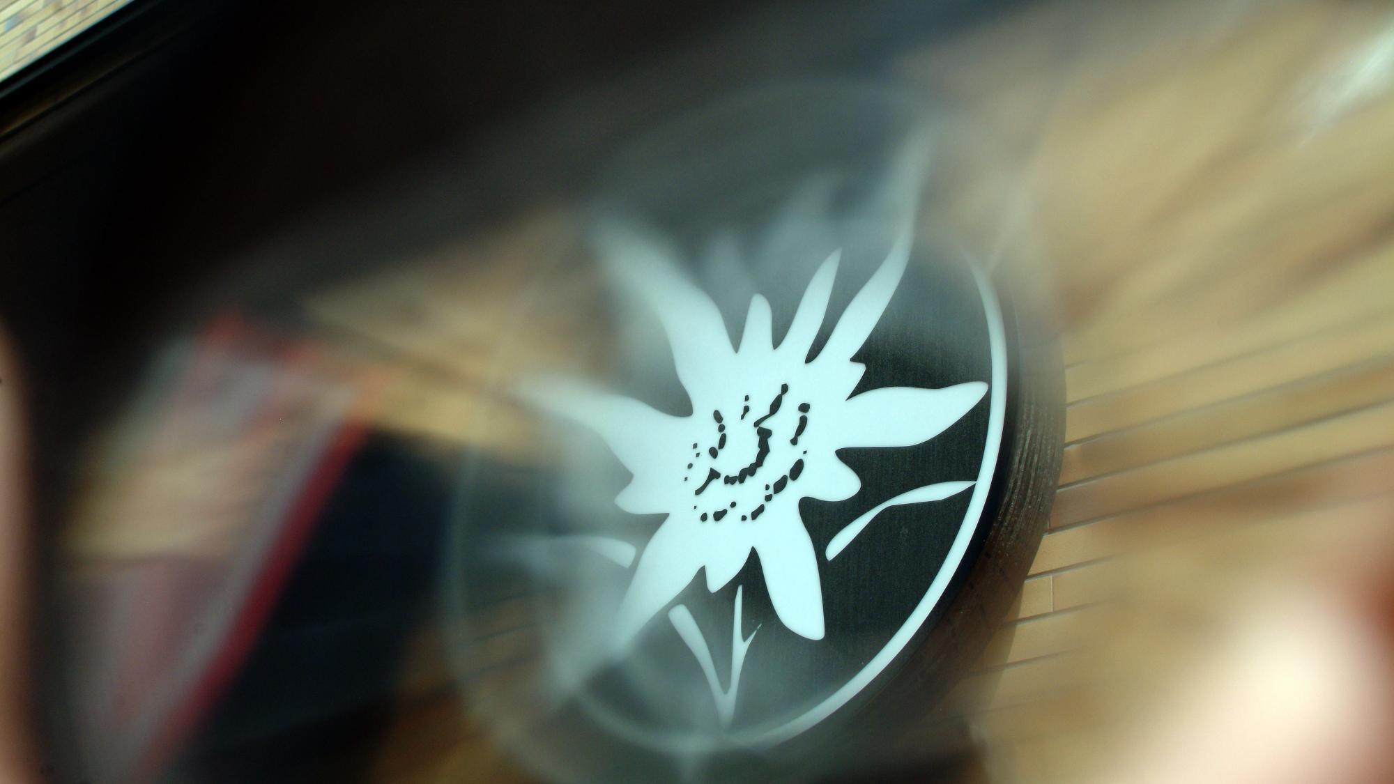 Zerrupftes Edelweiß: Wer die SVP gewählt hat - Politik | stol.it