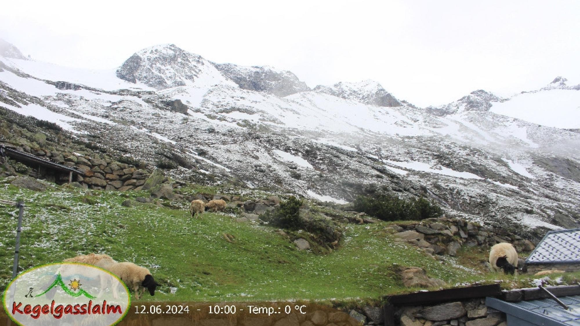 Wann kommt endlich der Sommer? - Chronik | stol.it