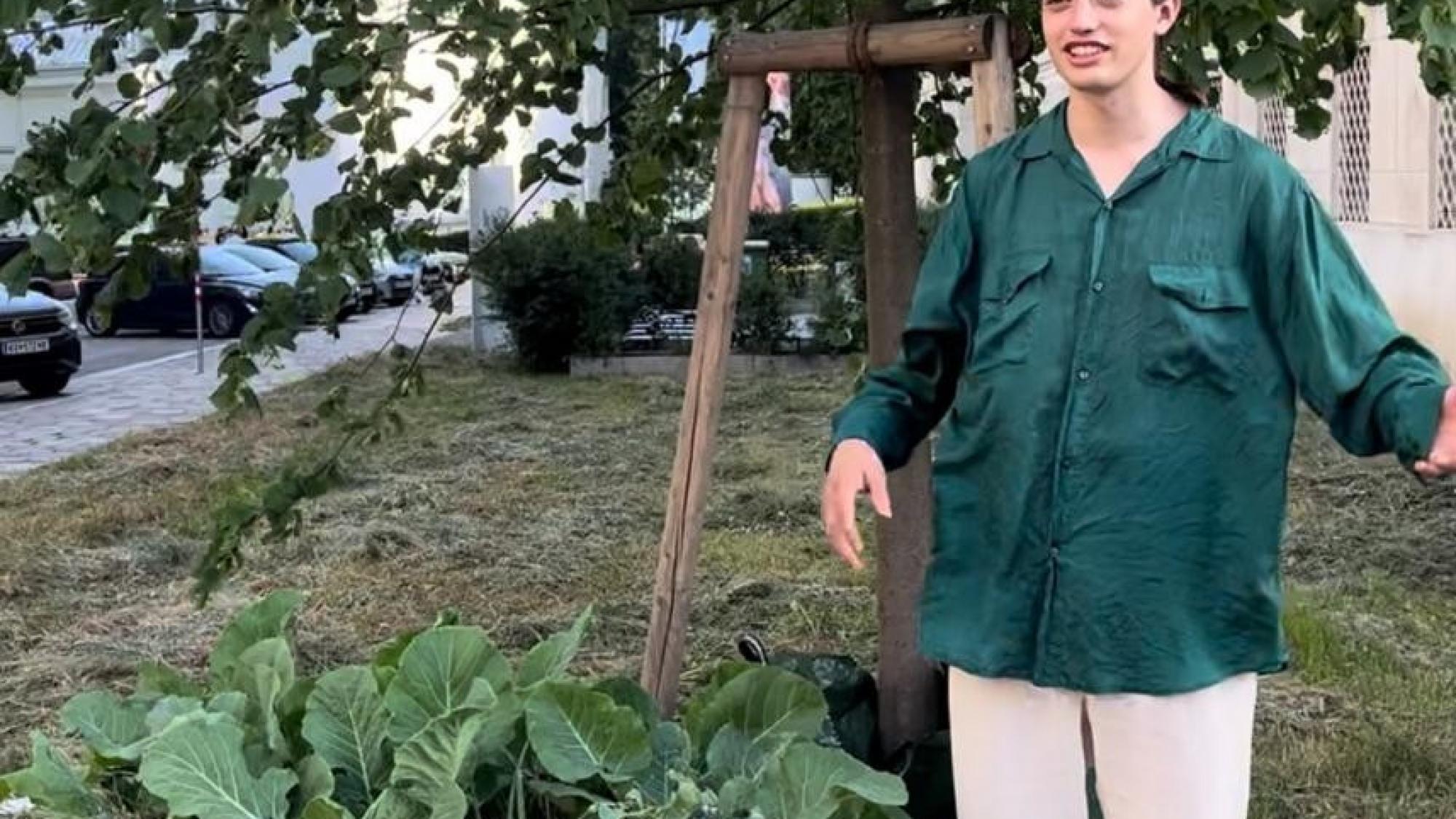 Supermodell Kohlrabi - Kunst | stol.it