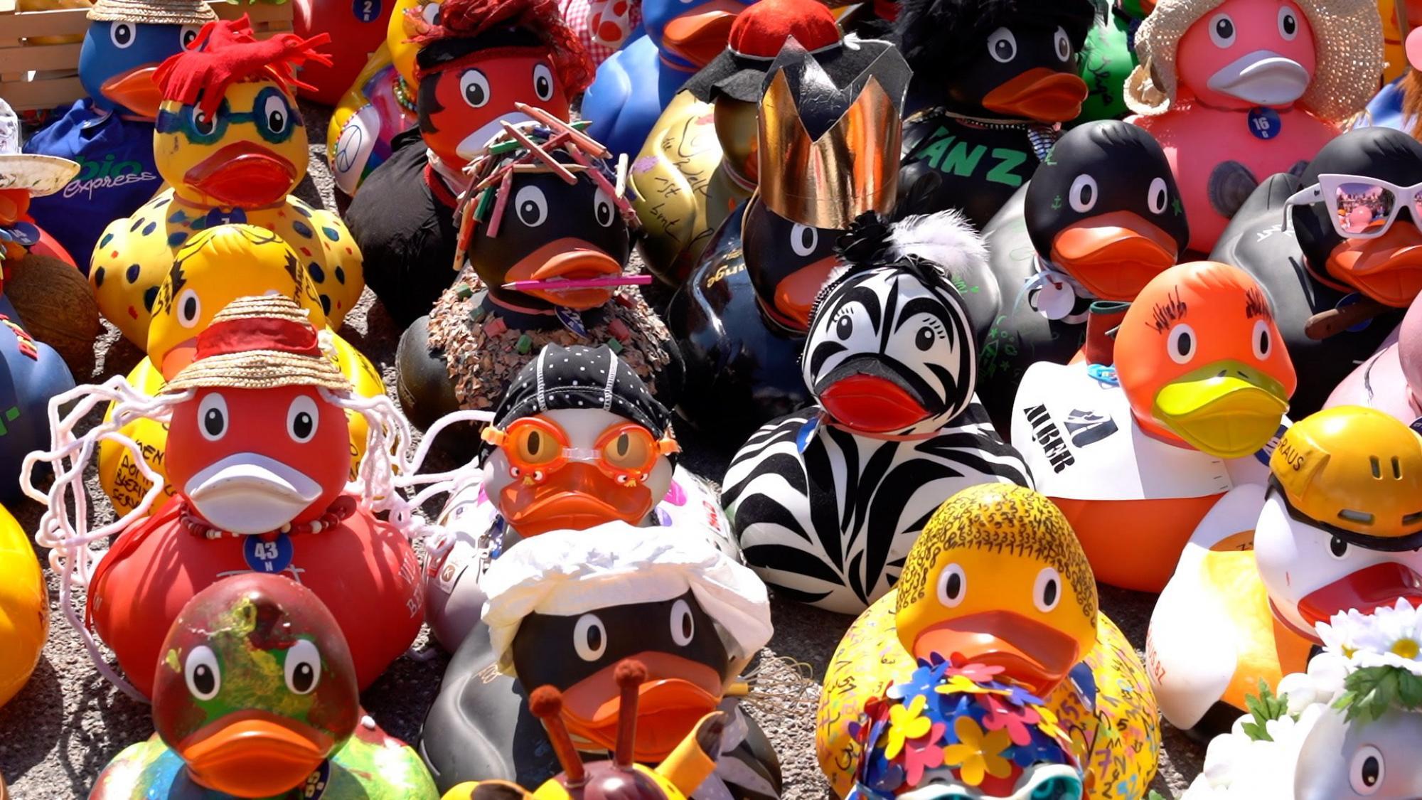 Die Passerstadt im Entenrausch - Videos | stol.it