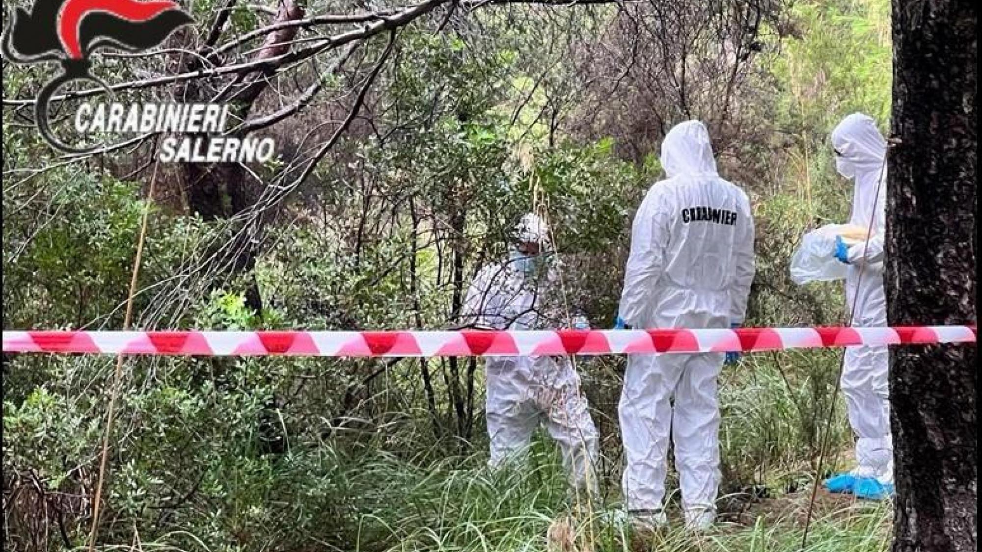 Wende im Mordfall Silvia Nowak: Lebensgefährte Kai D. festgenommen ... Wende im Mordfall Silvia Nowak: Lebensgefährte Kai D. festgenommen ...