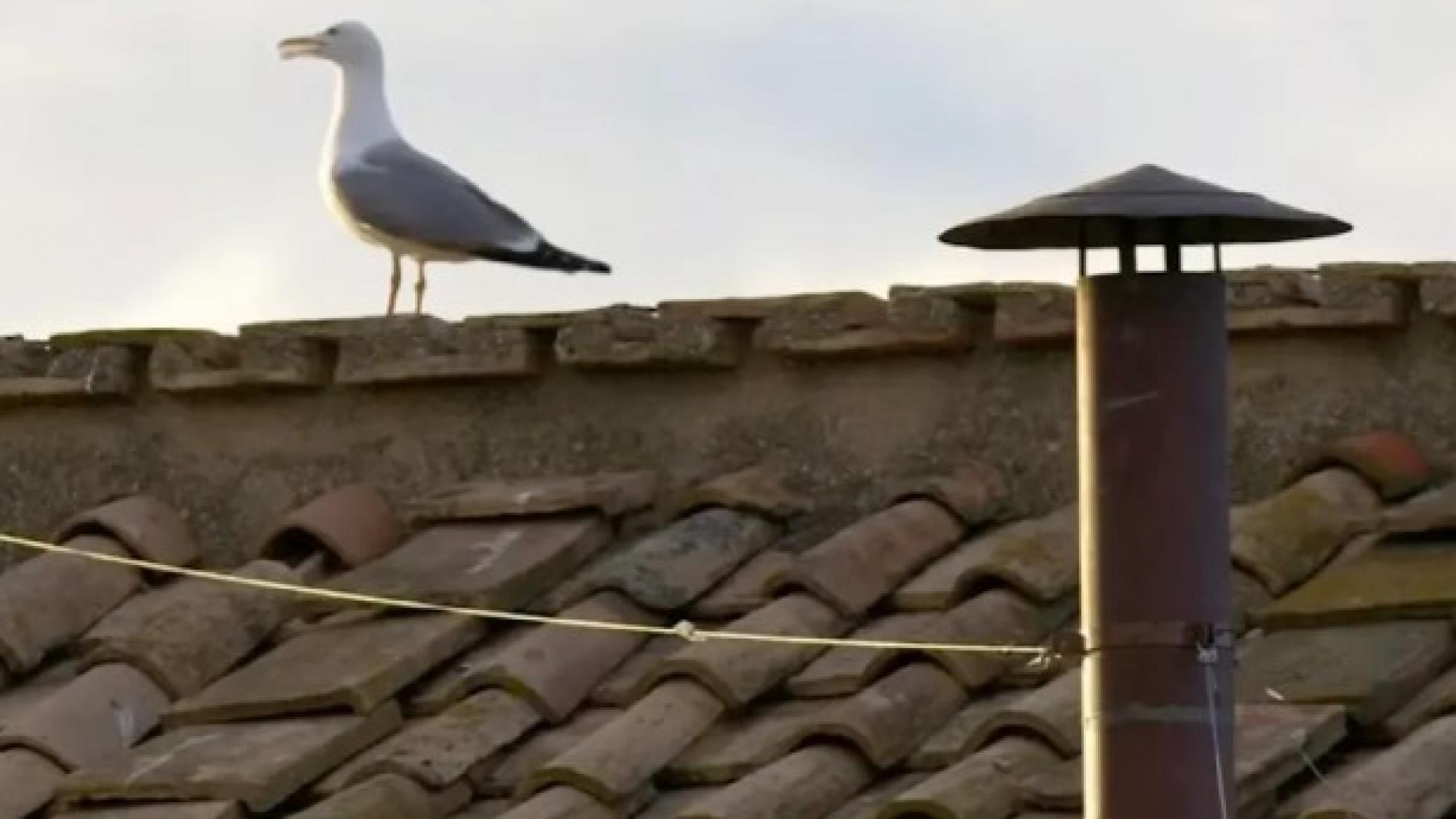 LIVE | Bekommen wir heute einen neuen Papst? Das Konklave hat begonnen ...