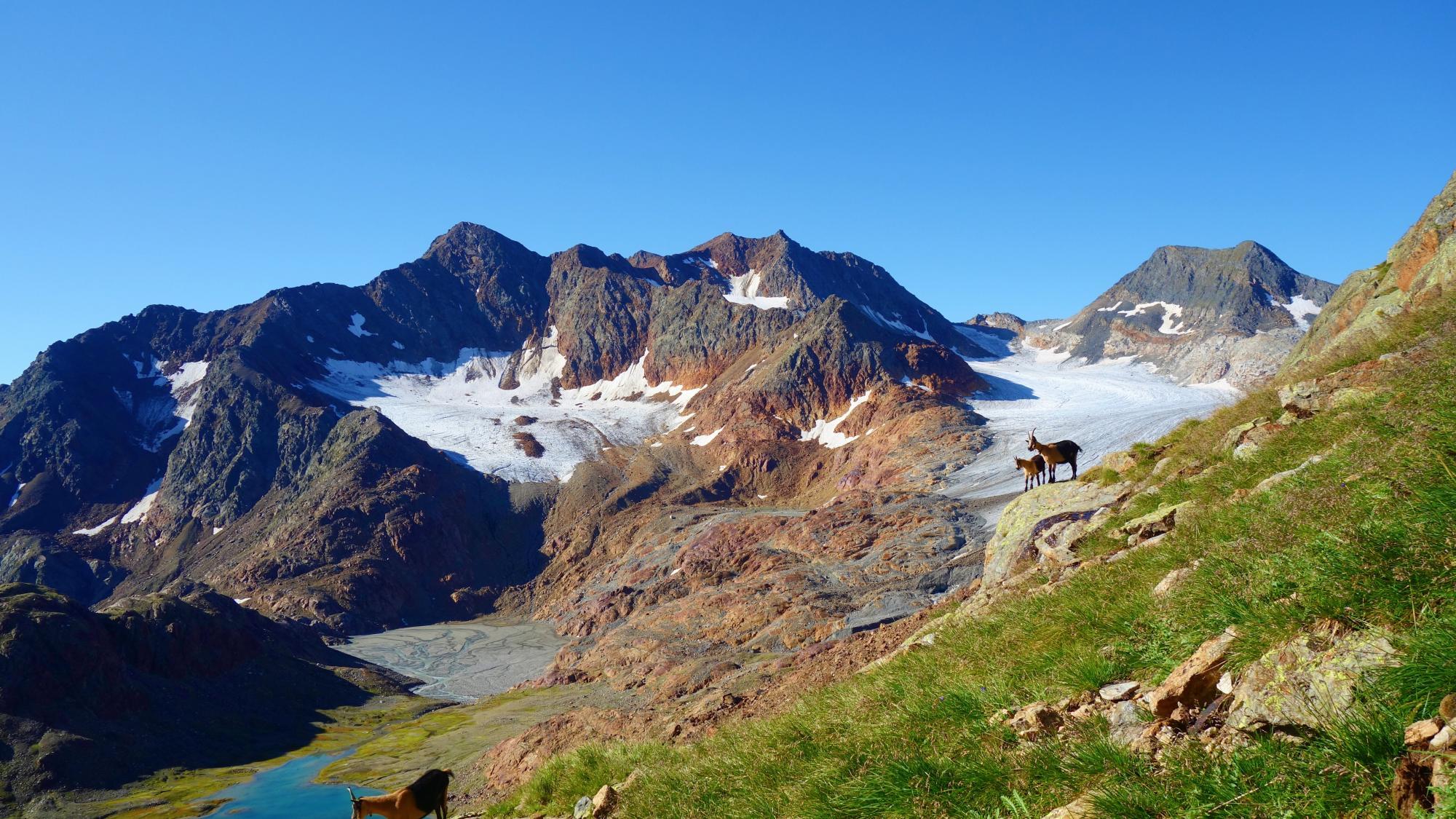 Peterlin: Die Hitze geht, der Sommer bleibt - Chronik | stol.it