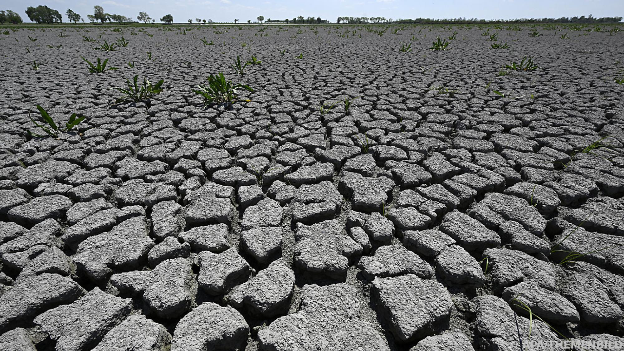 Sorge wegen Wasserknappheit in England - Chronik | stol.it