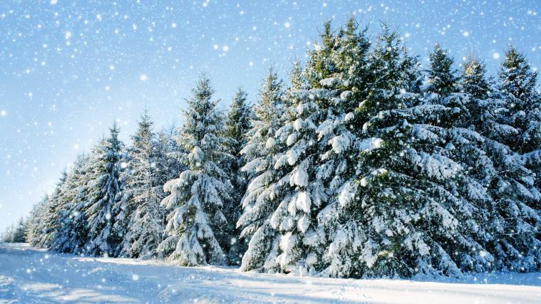 Schickt uns eure schönsten Schneebilder